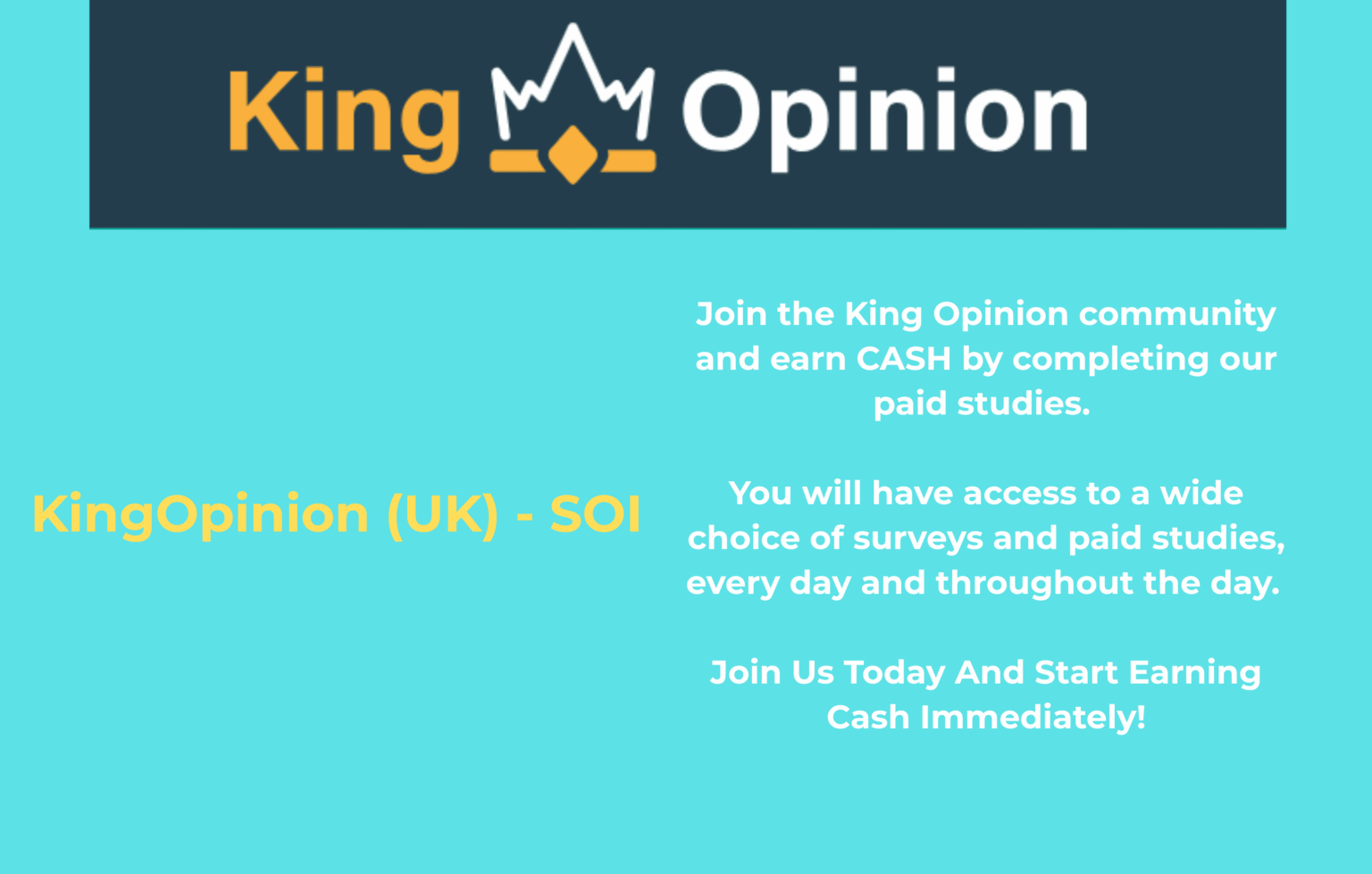 kingopinion-uk-soi-spinzel